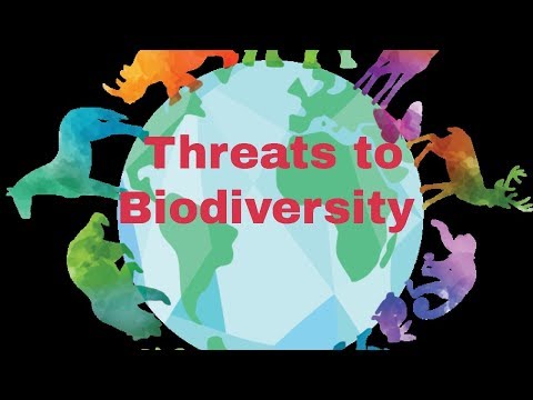 Threats to biodiversity in Hindi | Habitat loss | Wildlife Poaching | Human–wildlife conflict