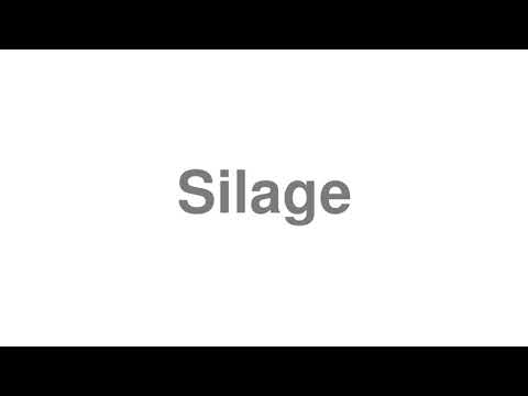 How to Pronounce "Silage"