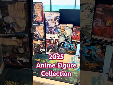 Anime Figure Collection #animefigures #collection #animefigurecollection