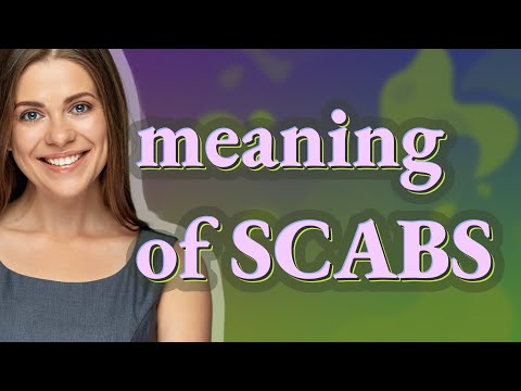 Scabs | meaning of Scabs