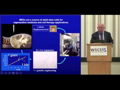 WSCS 2015: The MSC Paradigm, Failed Industrial Clinical Trials, and Cellular Pharmaceuticals