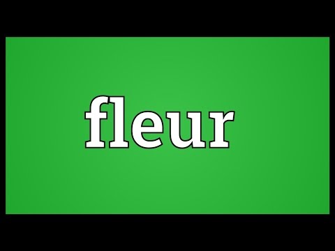 Fleur Meaning
