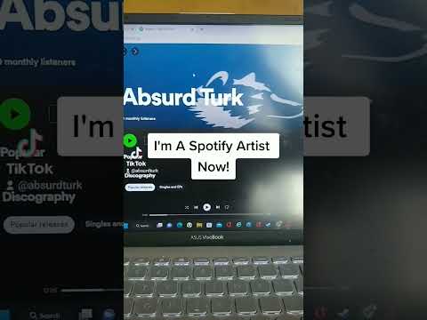 Made A Spotify Artist Profile