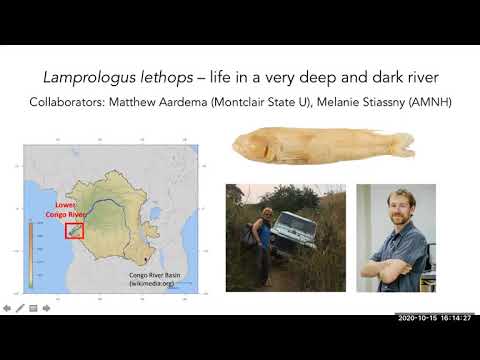 Liz Alter Presents: Using genomic tools to explore fish evolution in extreme environments