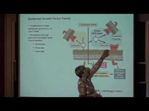 Applications to Tissue Engineering