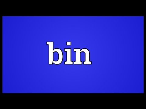 Bin Meaning