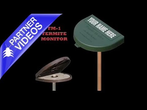 B&G Termite Monitor Video | DoMyOwn.com