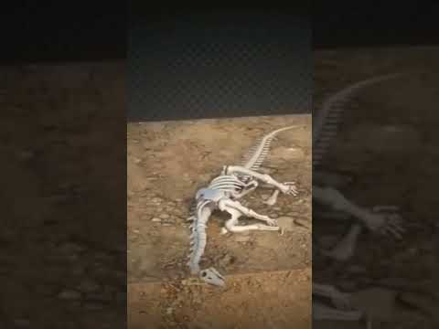 Fossils formation in 3D animation #shorts