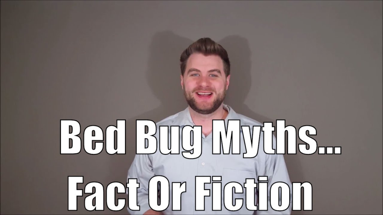 Bed Bug Myths...Fact Or Fiction