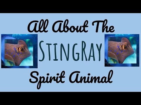 🌹🌙 THE STING RAY SPIRIT🌙🌹Sting Ray Spirit Animal Symbolism