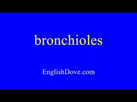 How to pronounce bronchioles in American English