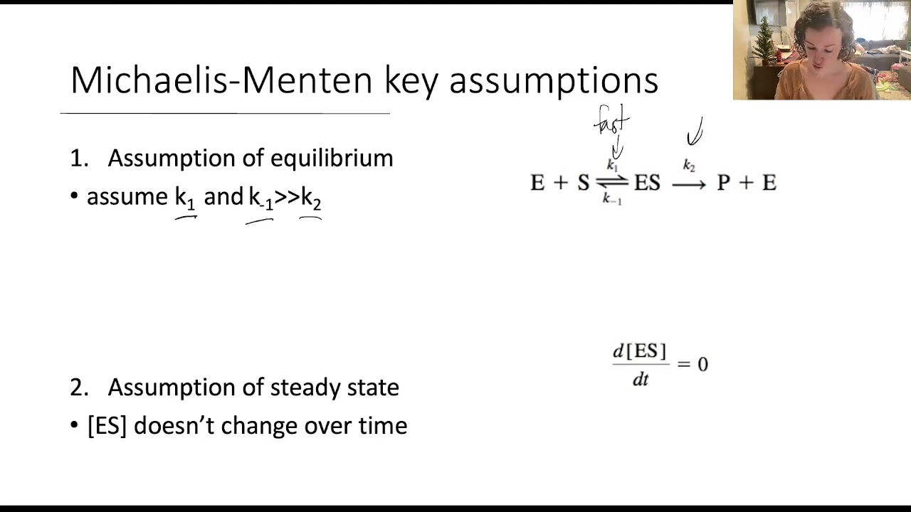 Enzyme Kinetics II 1