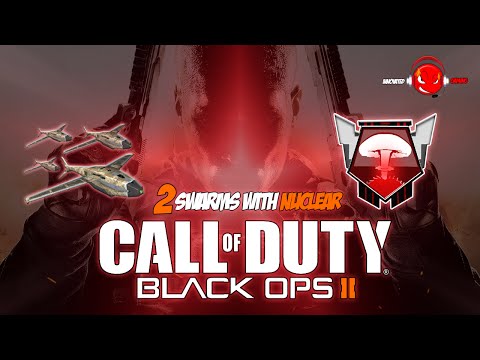 Steam Community :: Video :: 2 Swarms Team Death Match BO2 PC Gameplay