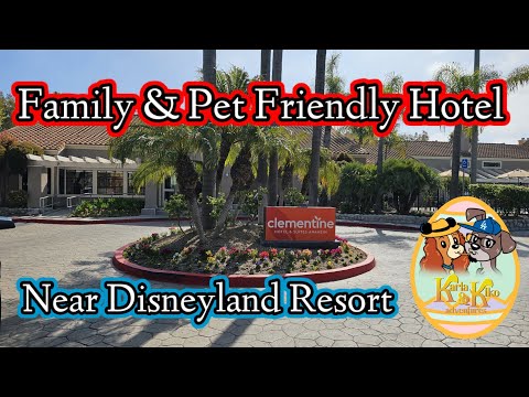 Clementine Hotel & Suites Great Hotel Near Disneyland Resort | Anaheim