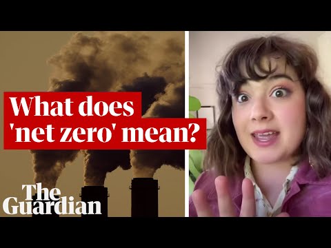 What does ‘net zero’ mean? #shorts