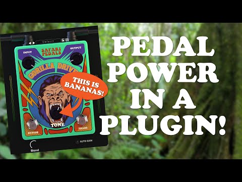 Safari plugins - Time Machine and Gorilla drive - Gearspace