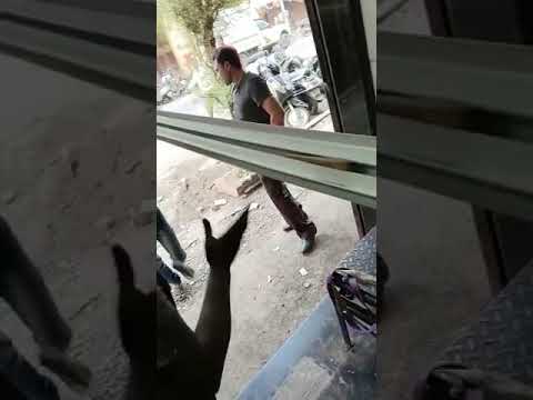 L Angle at Best Price in India