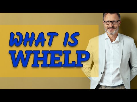 Whelp | Meaning of whelp