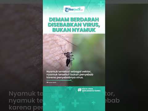 Demam Berdarah Disebabkan oleh Virus, Nyamuk Hanya Sebagai Vektor