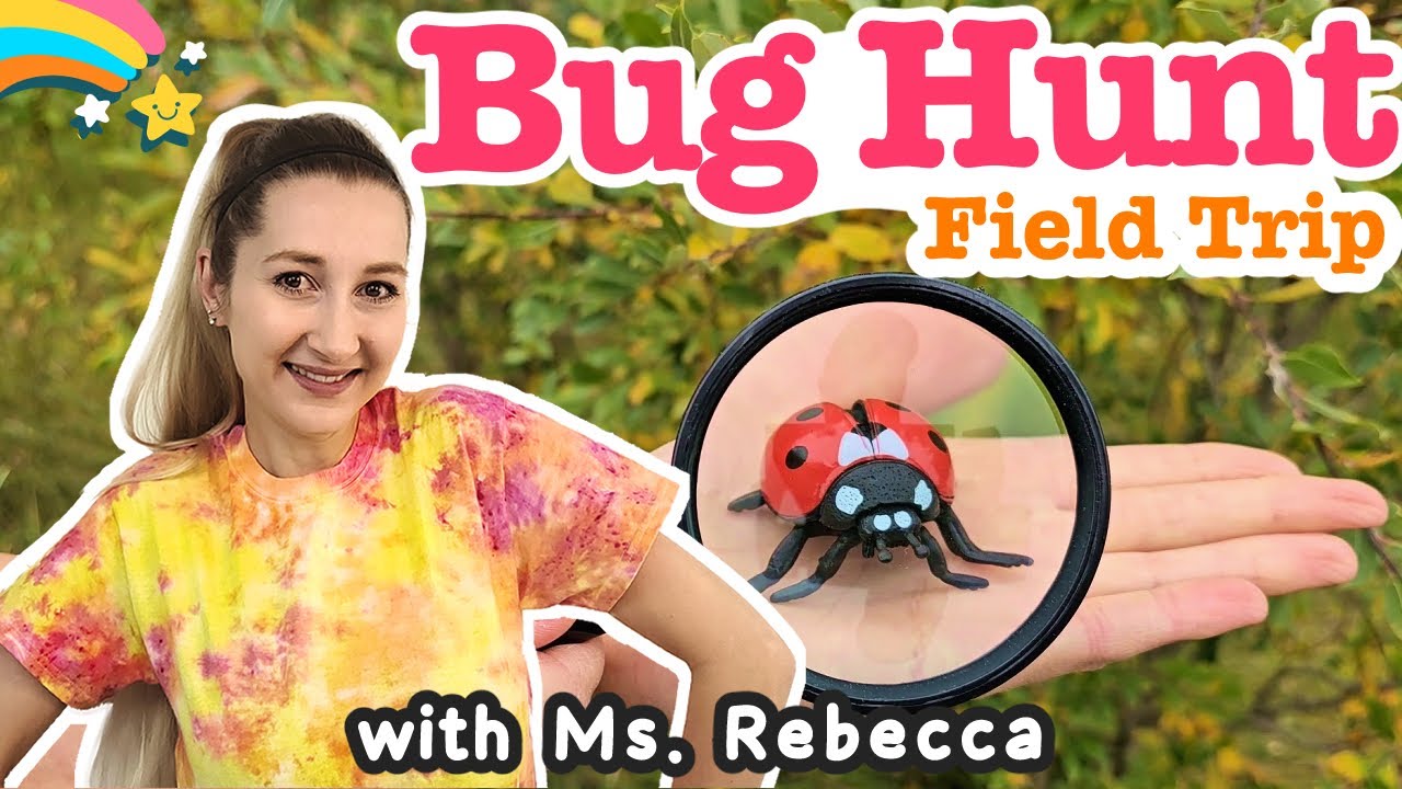 Learn Bug Facts for Kids! | Bug Scavenger Hunt