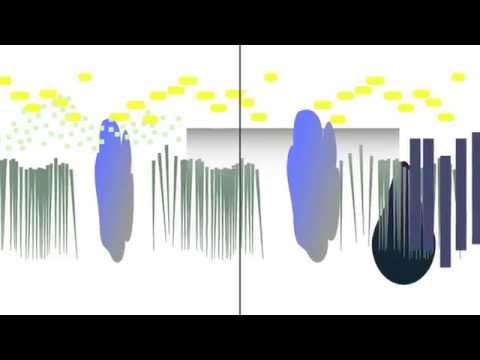 "Bewegtbild, Musik, Form" (graphic score)