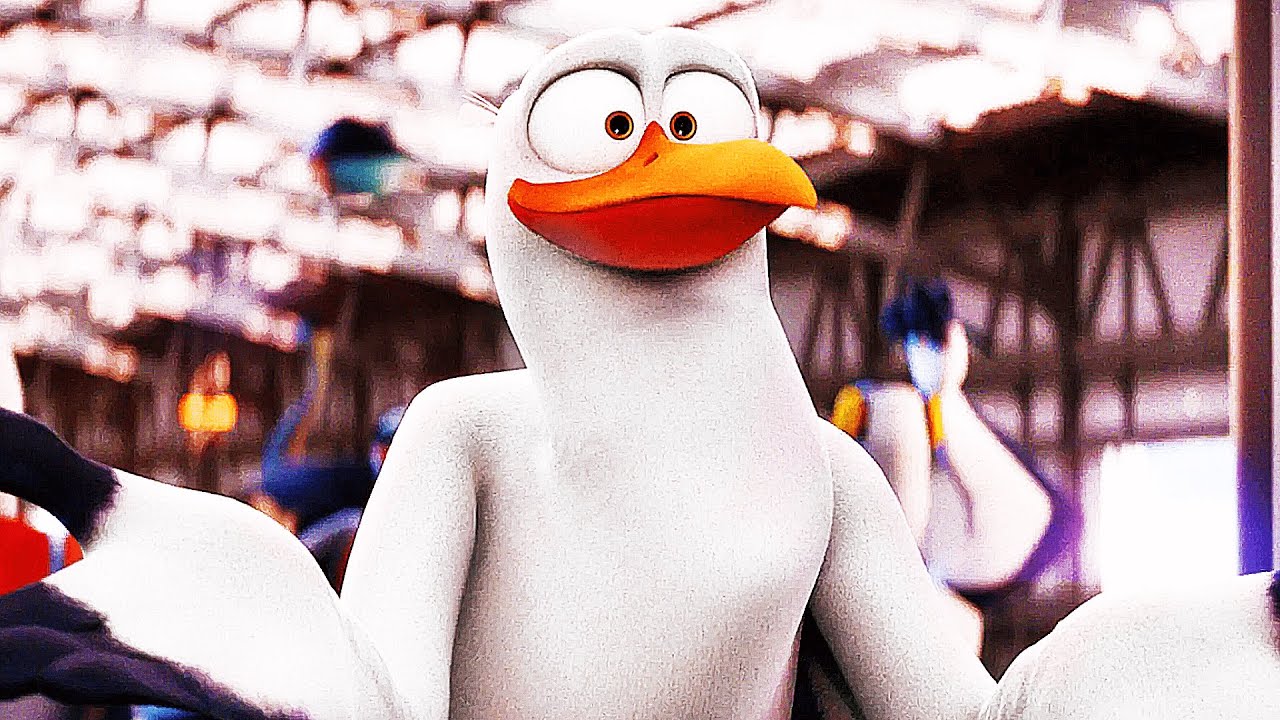 STORKS CLIP COMPILATION (2016)