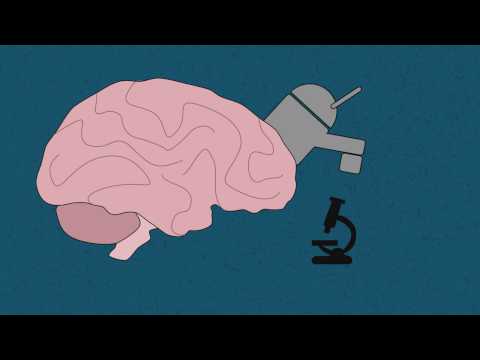 Migration Imbalance for New EU Countries Leads to Research "Brain Drain"