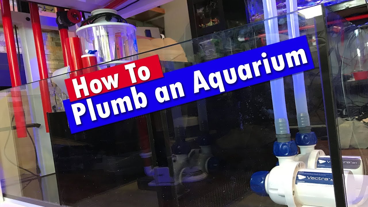 How to Plumb an Aquarium Tank and Sump - Reef tank plumbing!