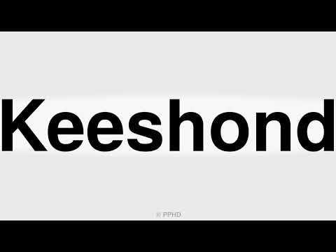 How to Correctly Pronounce Keeshond In English