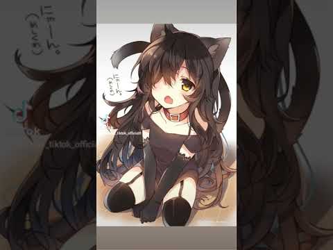 #anime #cat #girl