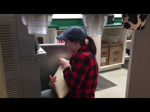 Front Runner Job Assessment