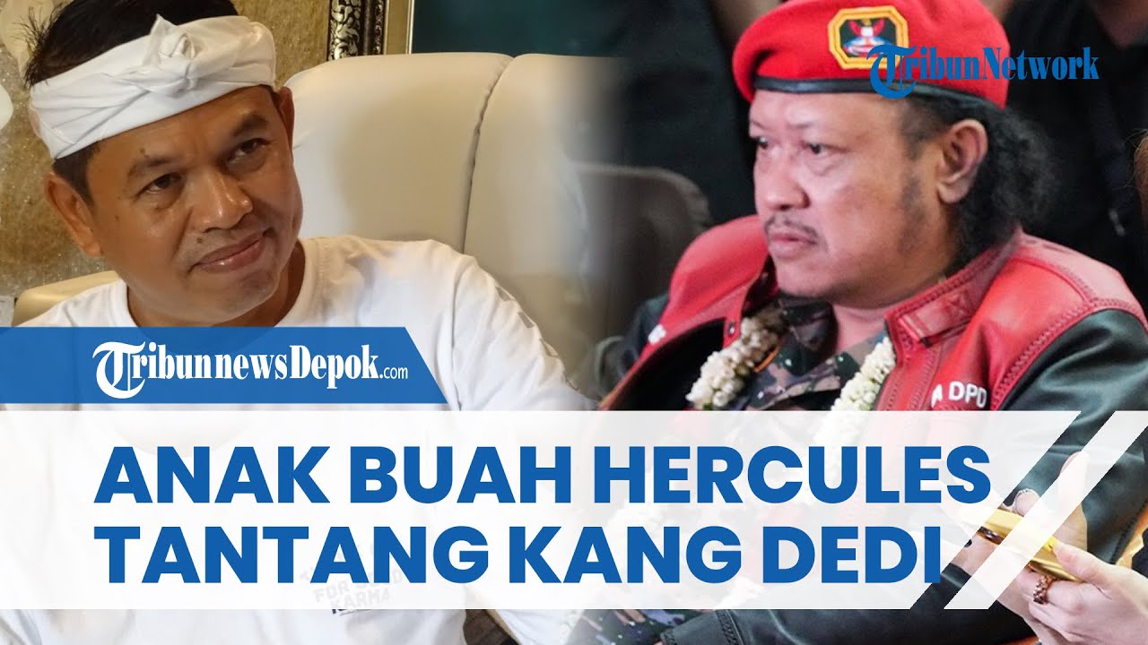 Dedi Mulyadi Ditantang Anak Buah Hercules Debat Tatap Muka soal Premanisme: Gubernur Gak Semua ...