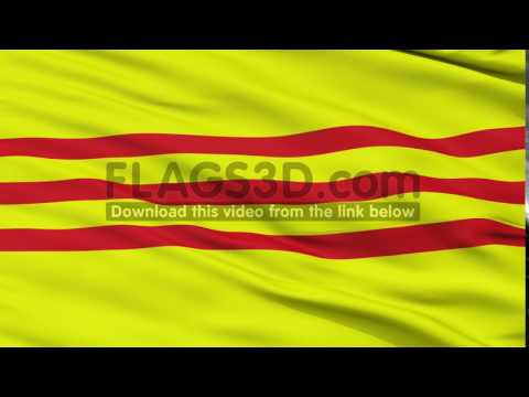 South Vietnam Micronation Close Up Waving Flag