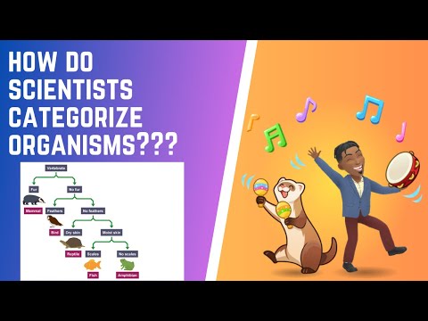 Kingdoms, Classes & Clues: How Scientists Sort Life!” 🧬🦠🦁 | 7th Grade Science Made Simple