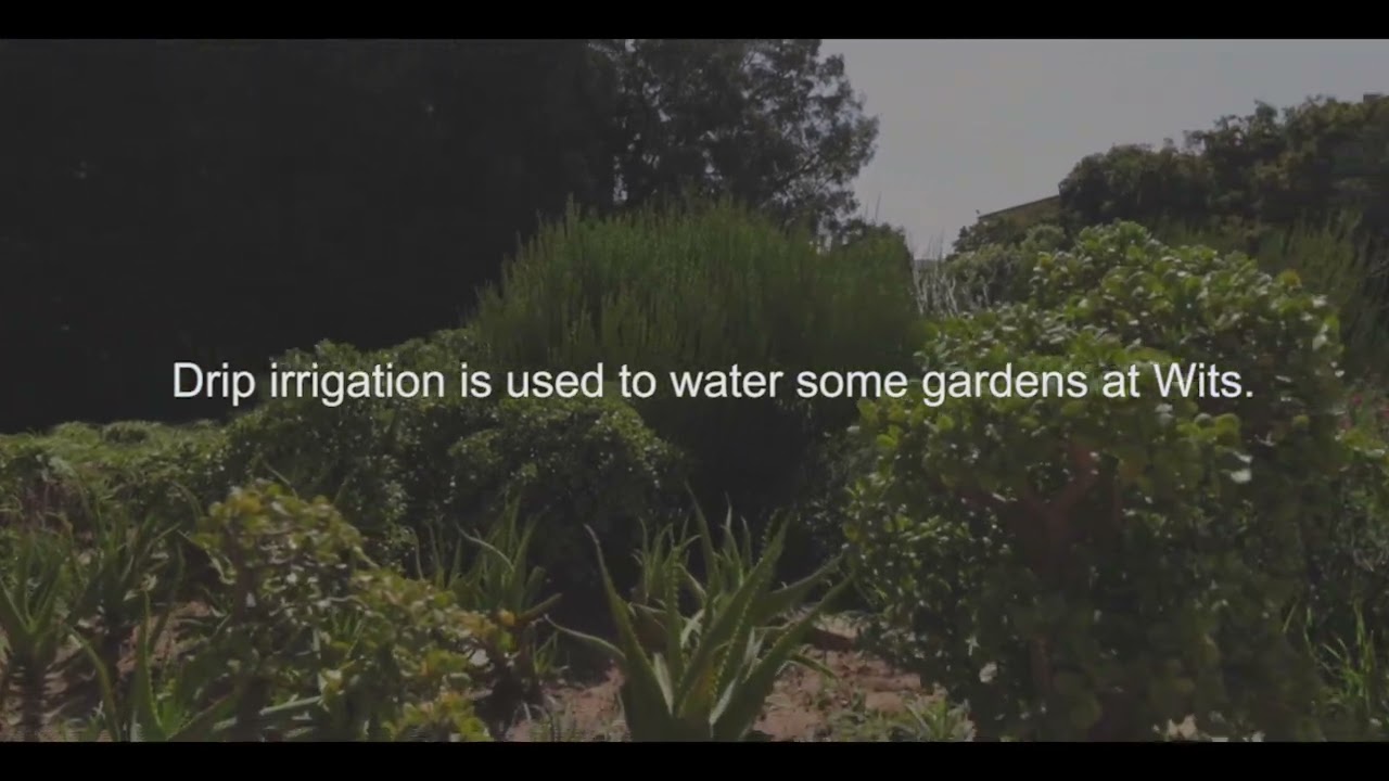 Water savings at Wits