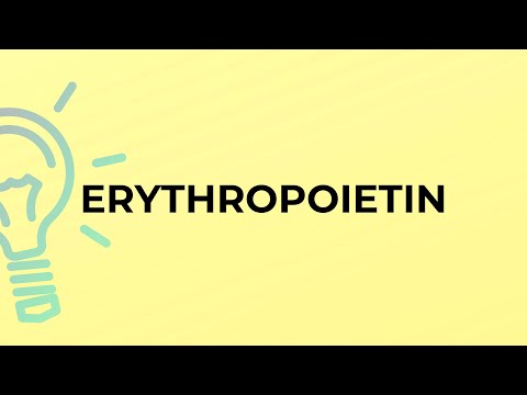 What is the meaning of the word ERYTHROPOIETIN?