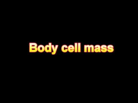 What Is The Definition Of Body cell mass Medical Dictionary Free Online