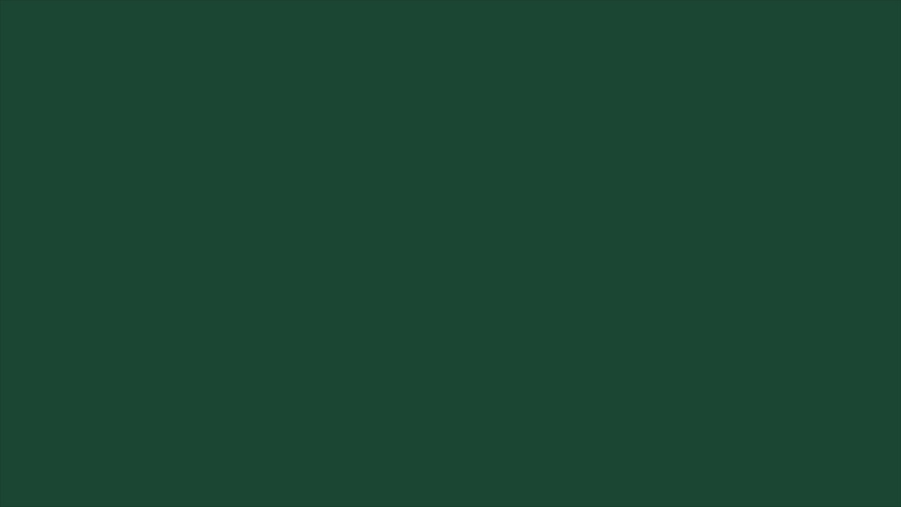Hunter Green Background Screen | Dark Green | Forest Green| Backdrop Screensaver | 1 Hour  (HD 4K)