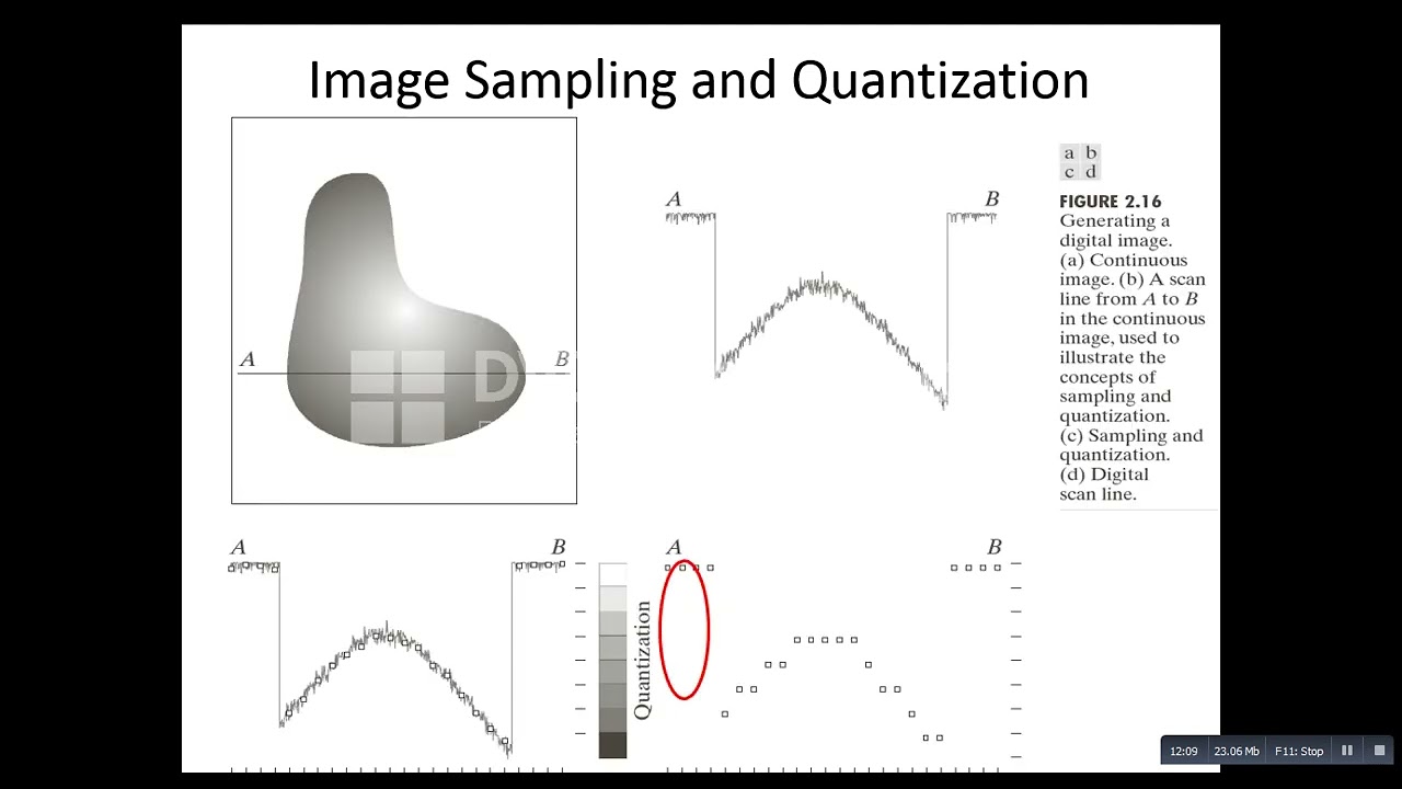 7 components image processing sampling quantization