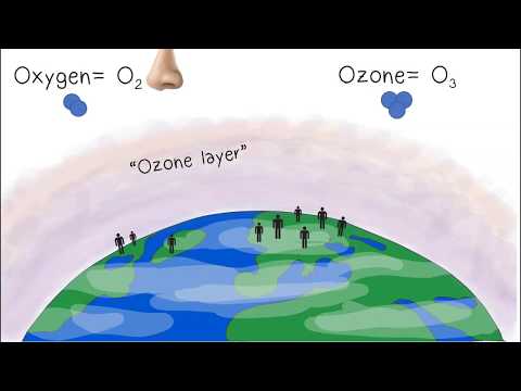 The Ozone Layer