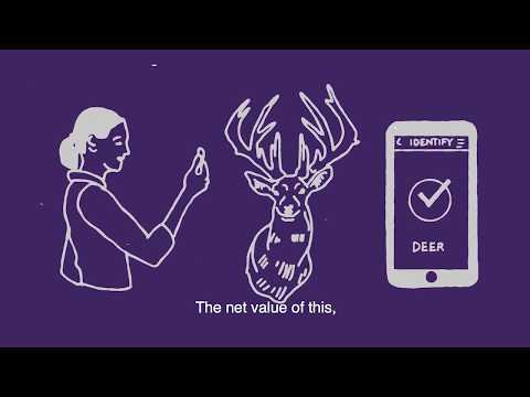 Apa itu API dan mengapa itu penting?