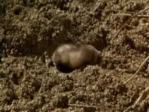 It’s 1985 and this girl I haven’t met yet is going to be scandalized ...