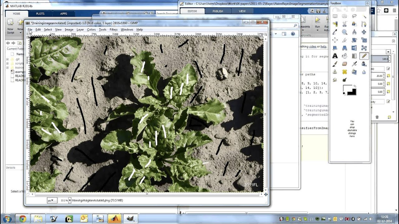 Image segmentation using a Naive Bayes classifier