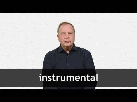 INSTRUMENTAL - Definition & Translations | Collins English Dictionary