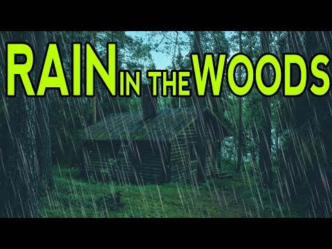 🎧 RAIN SOUNDS IN THE WOODS | Ambient Noise For Sleep, Relaxation and Studying | @Ultizzz day#9