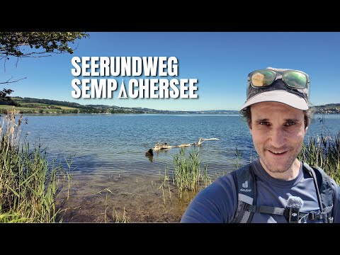 Abwechslungsreiche Seewanderung - Rundwanderung Sempachersee