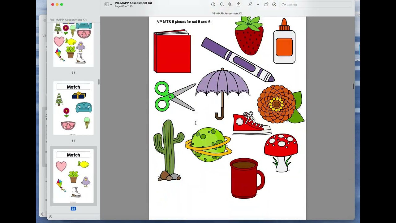 Product Preview  - VB-MAPP Assessment Kit