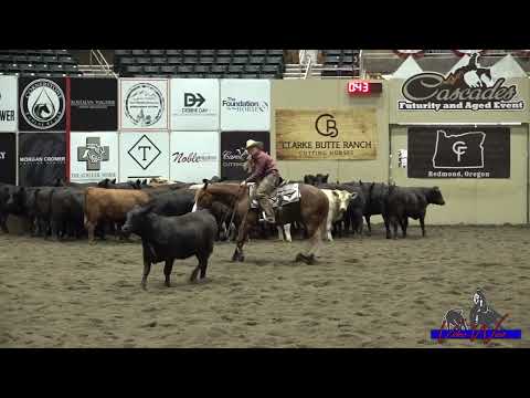 3YO OPEN FUTURITY CIRCUIT CHAMPION - STYLISTIC & MORGAN CROMER CASCADES FUTURITY