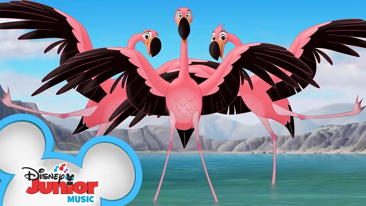 Flamingo Dance Party Music Video | The Lion Guard | Disney Junior