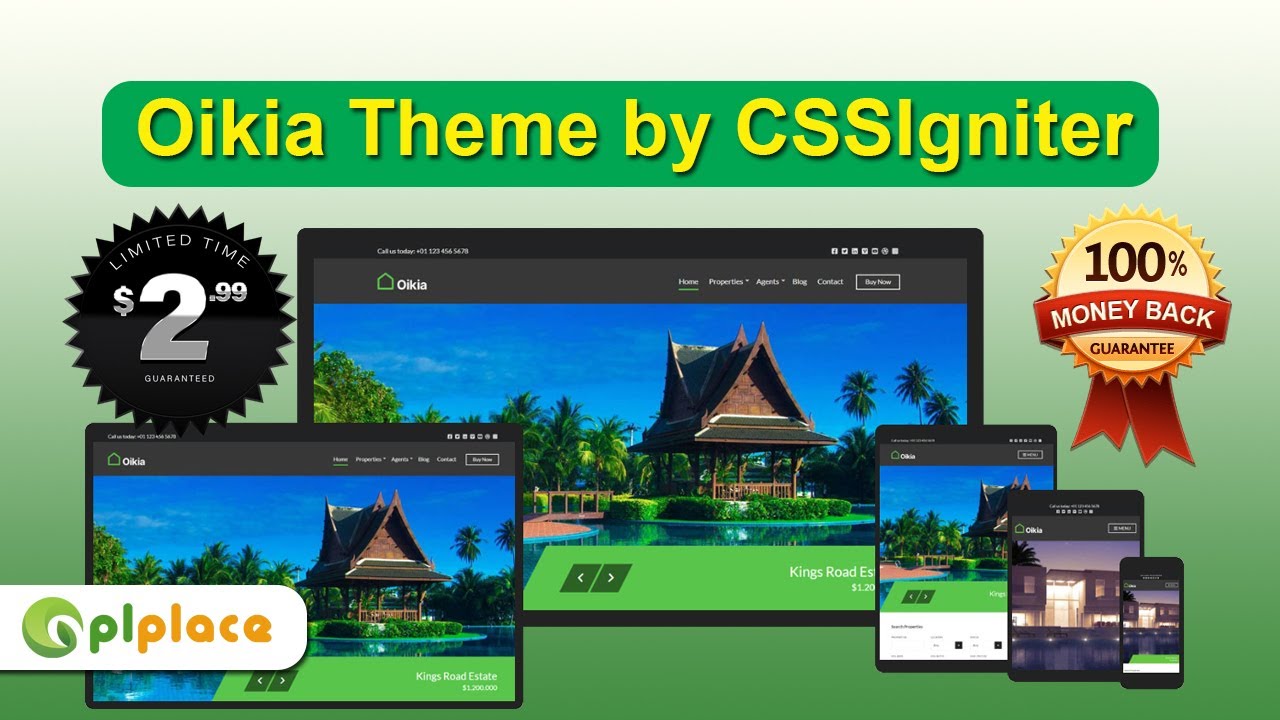Oikia Theme by CSSIgniter and Installation Guide